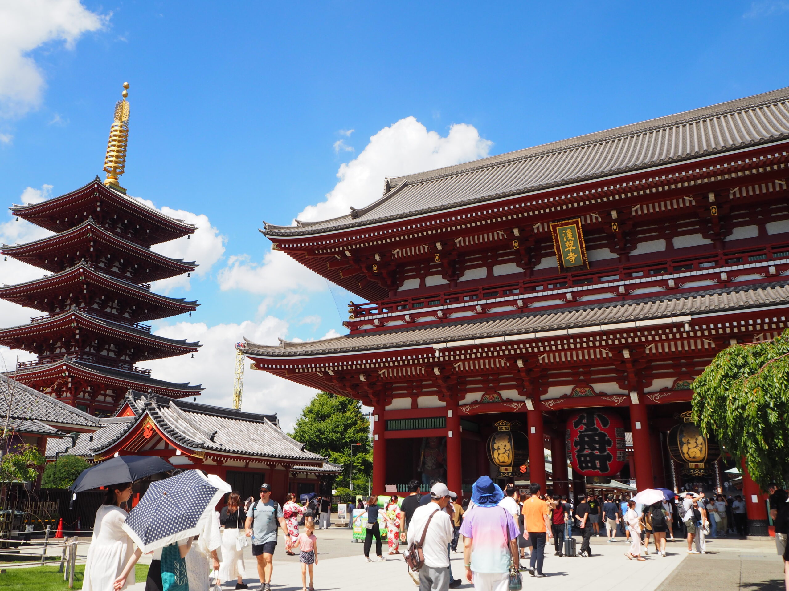 Tour Guide Hiro – One Day Tour In Tokyo, Saitama