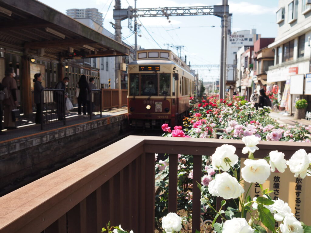 To 18 Journey on the Toden Arakawa Line – Tour Guide Hiro
