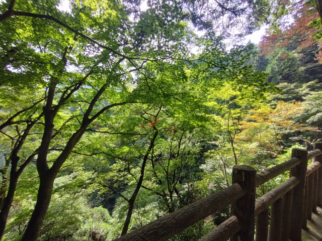 H02 Mt.Mitake & Mitake Shrine – Tour Guide Hiro
